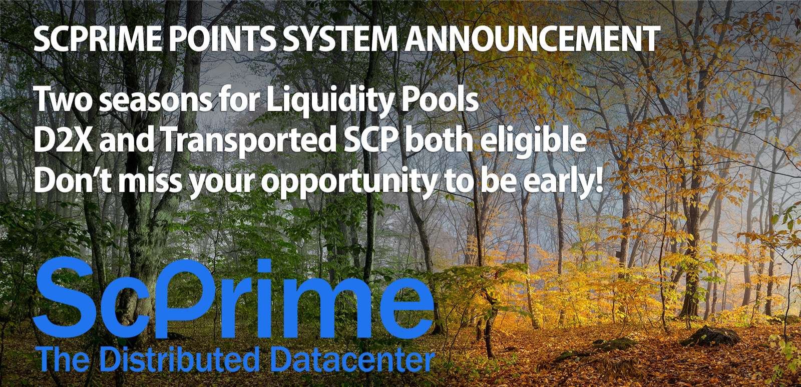 Introducing the ScPrime Points System for Enhanced Community Engagement ...