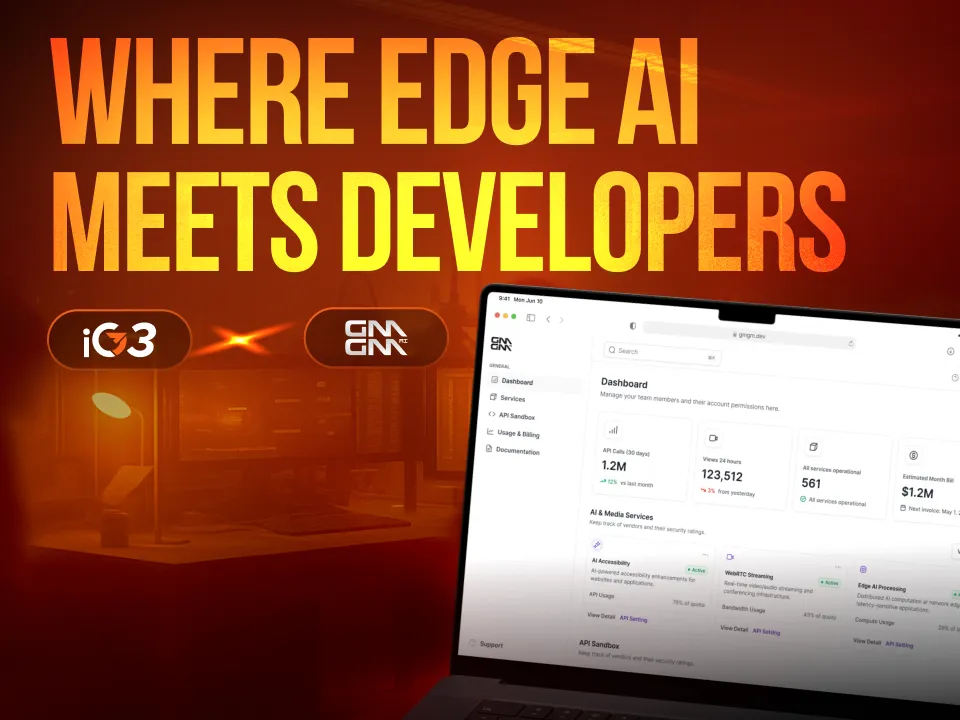 Experience Low Latency AI Models with iG3 Edge Network | DePIN Hub