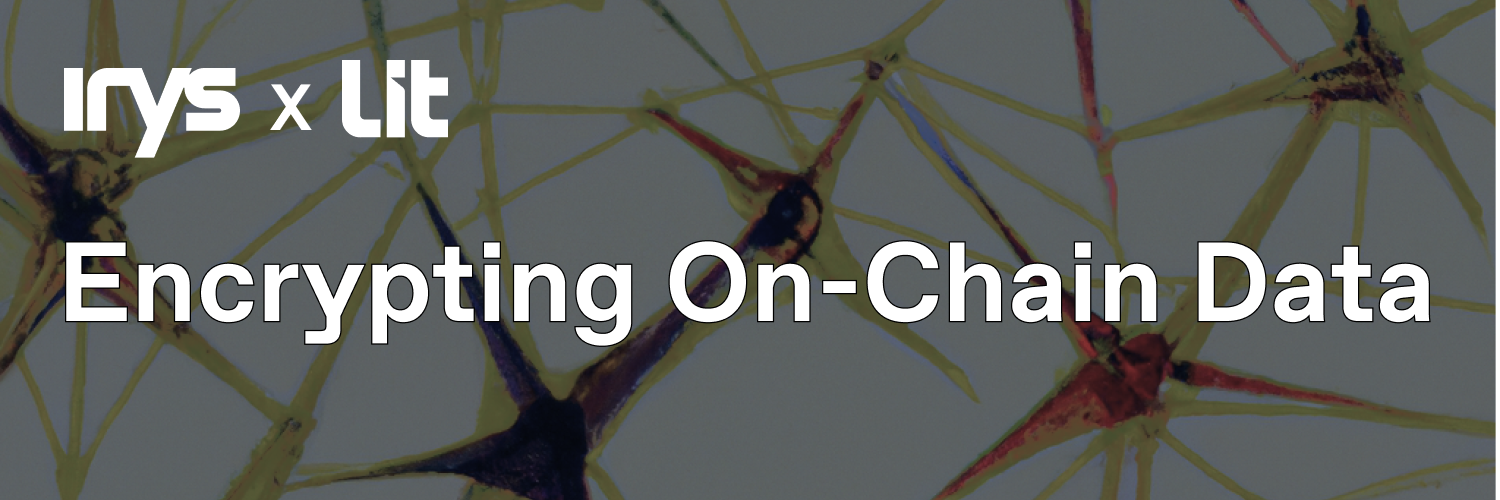 Introducing Irys and Lit: A Powerful Combination for Secure and Private ...