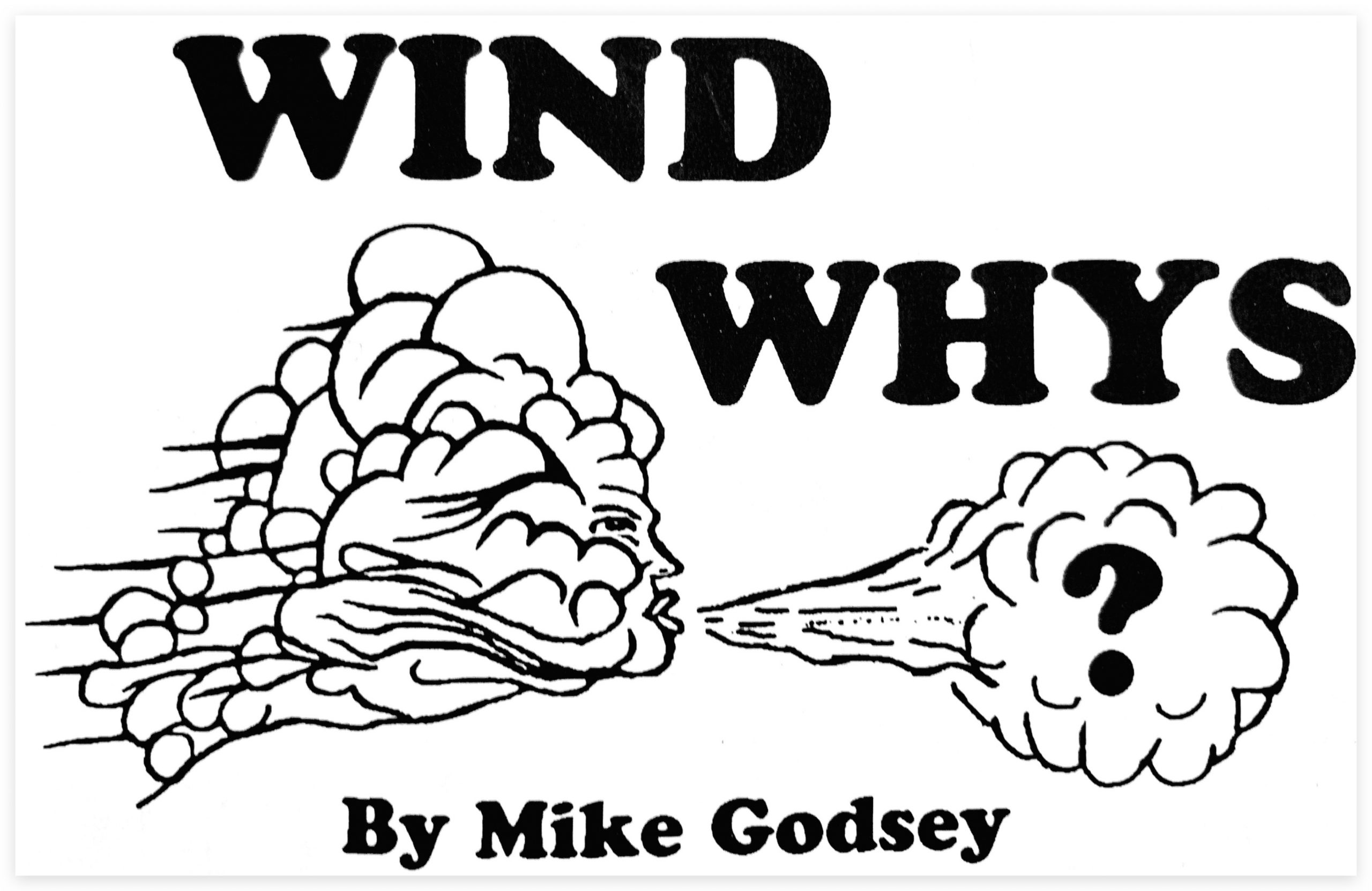 Revolutionizing Meteorology with WeatherFlow | DePIN Hub Revolutionizing Meteorology with WeatherFlow | DePIN Hub