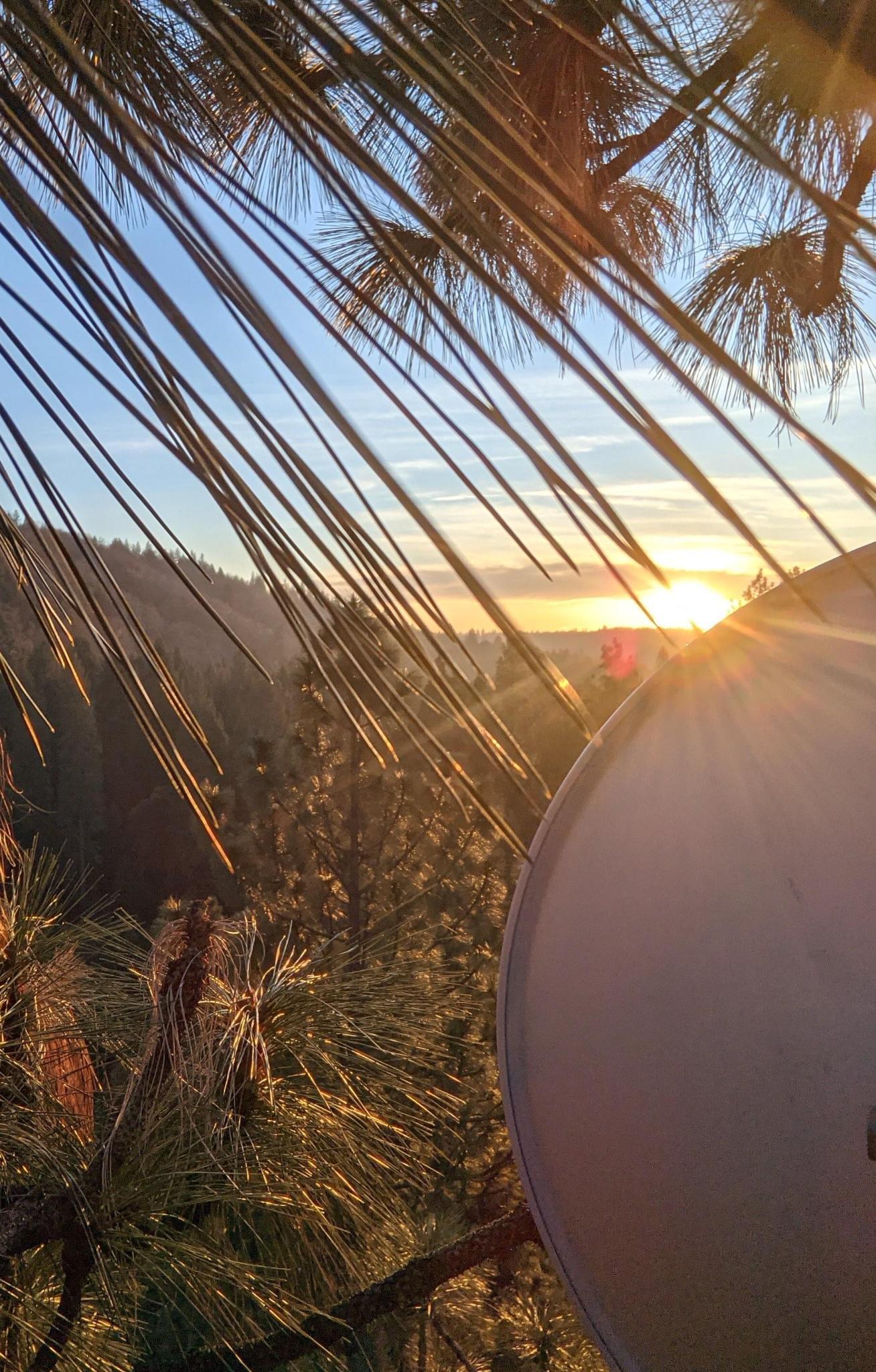 Althea: Revolutionizing Rural Connectivity with Smart Routing and ...