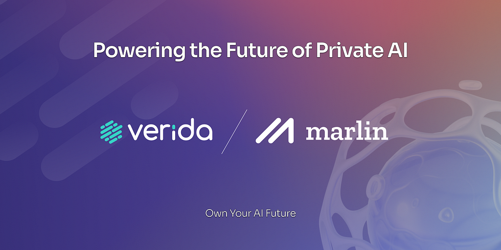 Verida-Network: Empowering Users with Private AI Assistants | DePIN Hub