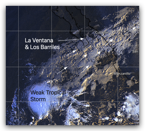 Weatherflow's Innovative Cloud Coverage Forecasting | DePIN Hub