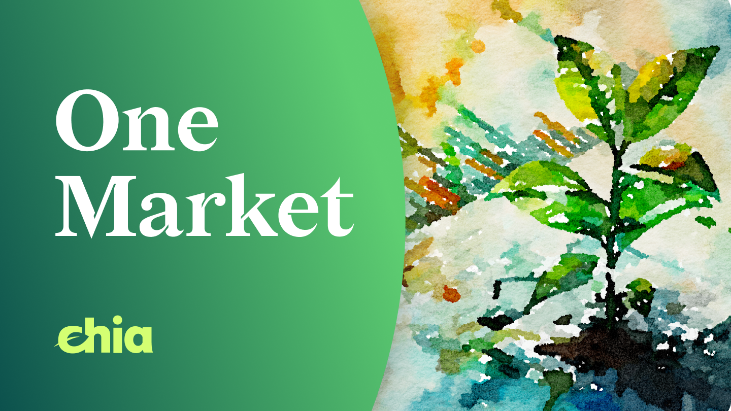 Revolutionizing Finance: The Chia Project | DePIN Hub