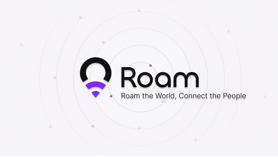 Introducing Roam: MetaBlox's Decentralized Global WiFi Network | DePIN Hub